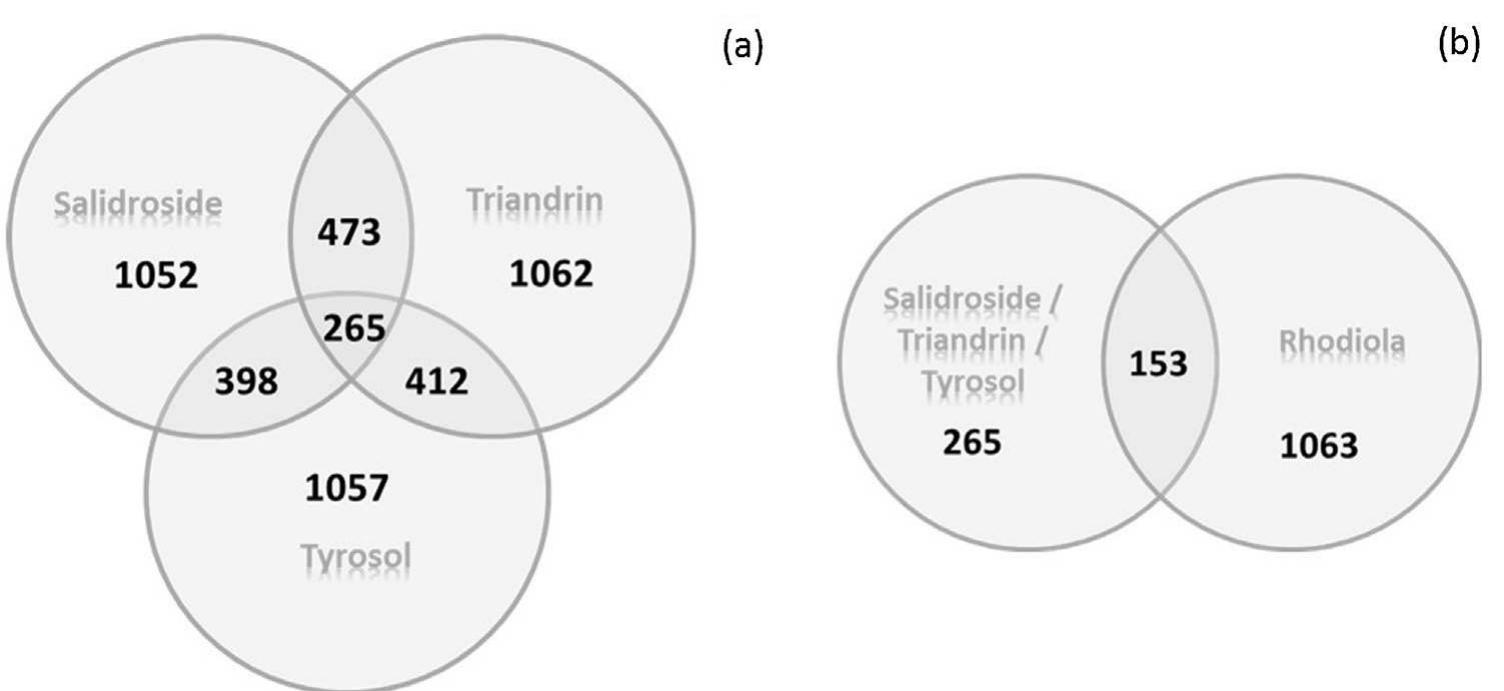 Venn diagrams of the genes in neuroglial cells deregulated