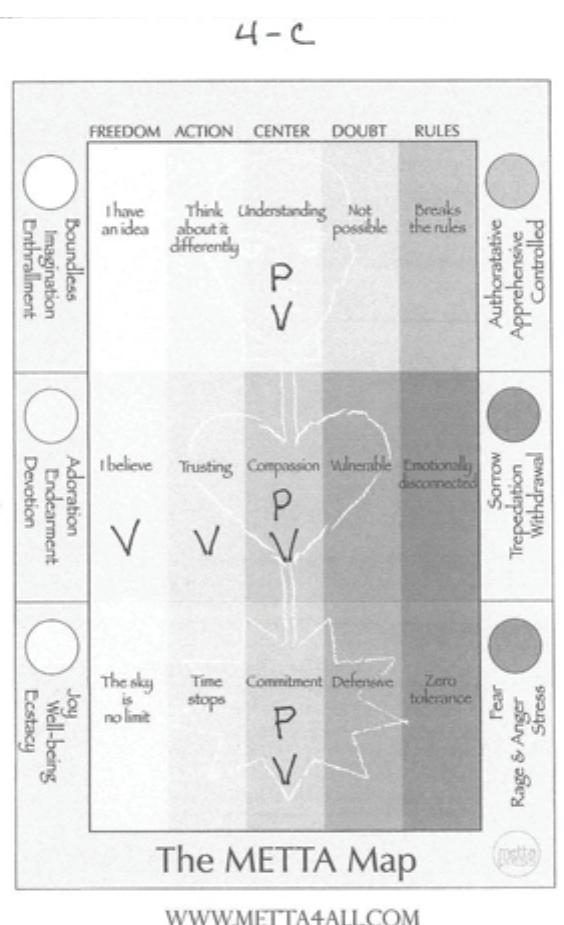 The metta map shows us that the driver has come to right
