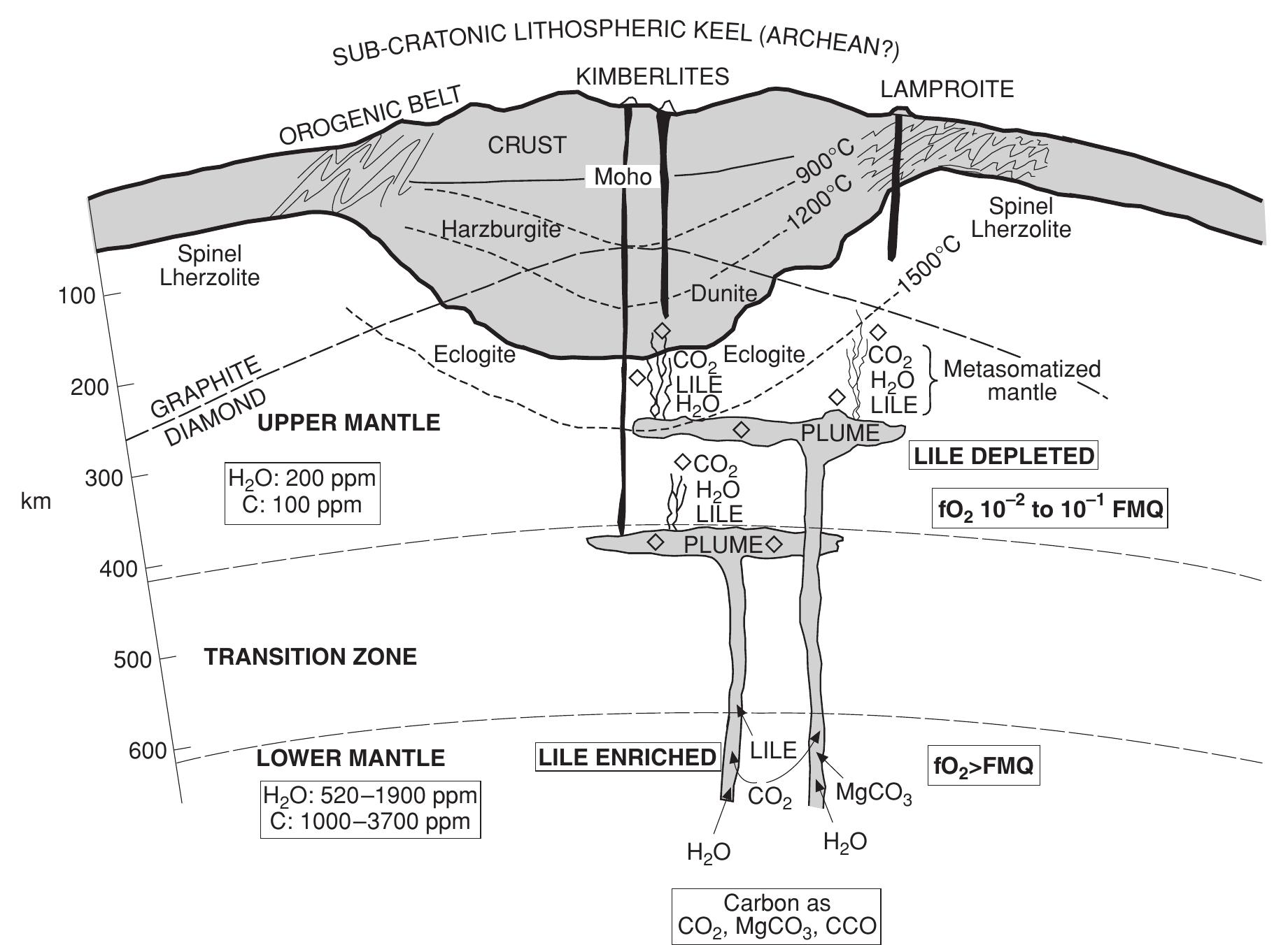 8 schematic diagram illustrating features pertinent to the