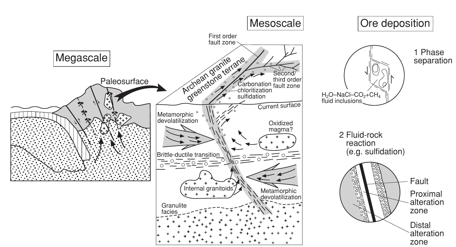 26 schematic illustrations showing the principal features of