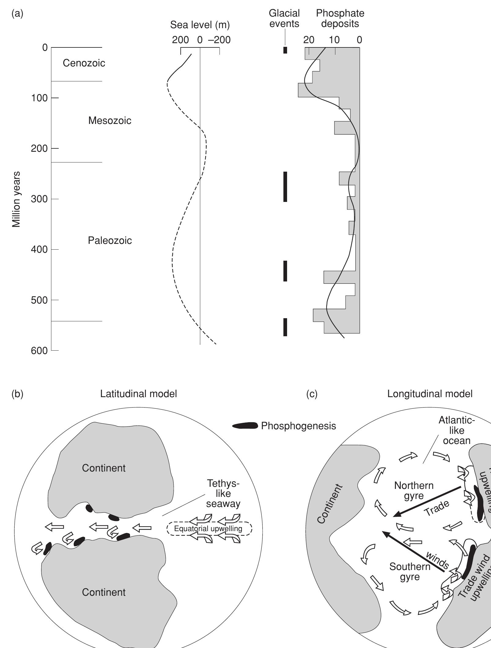 Figure 183 - Introduction to ore-forming process