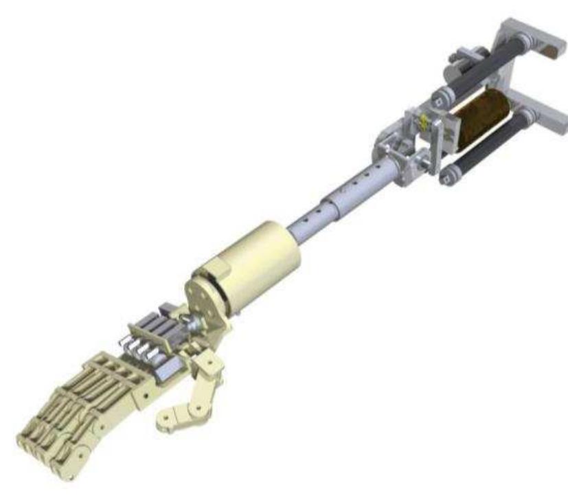 Conceptual final design of transhumeral prosthetic arm.