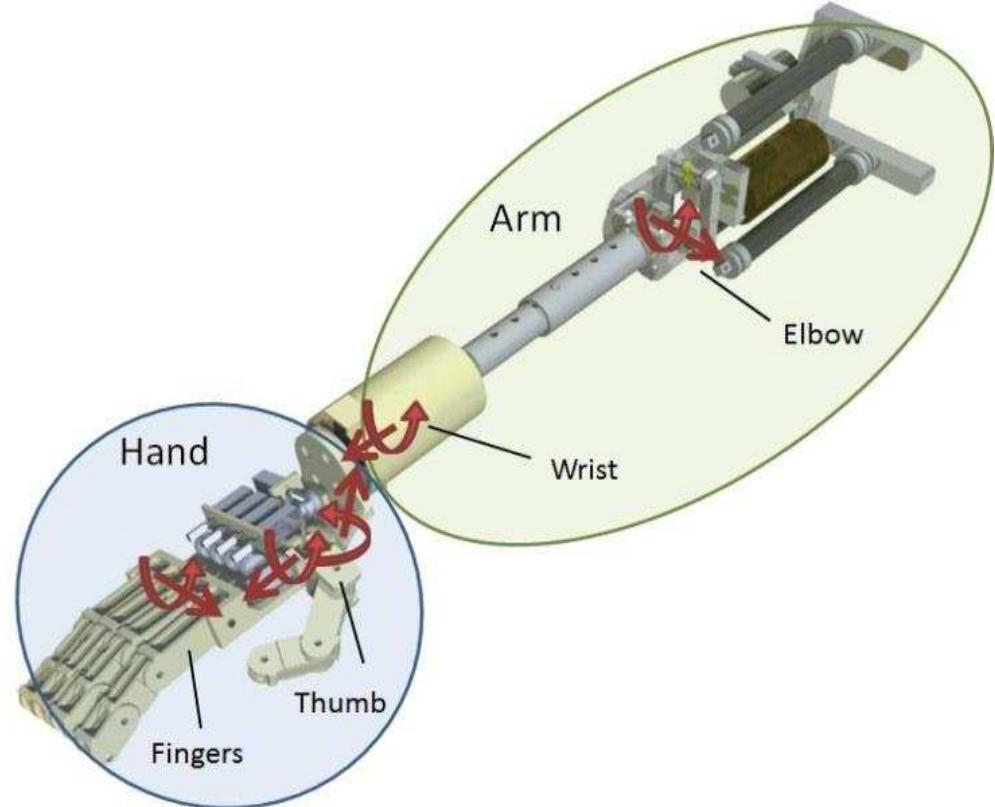 Overview of the final design prosthetic arm system. human