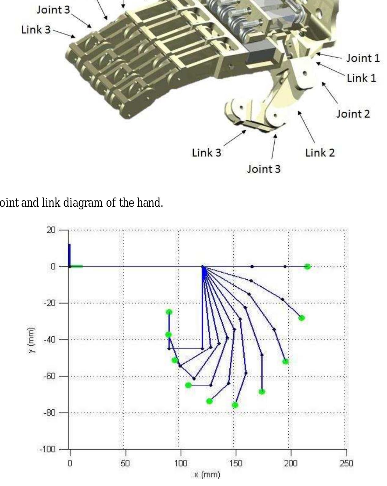 The kinematic models derived from the hand for the thumb are