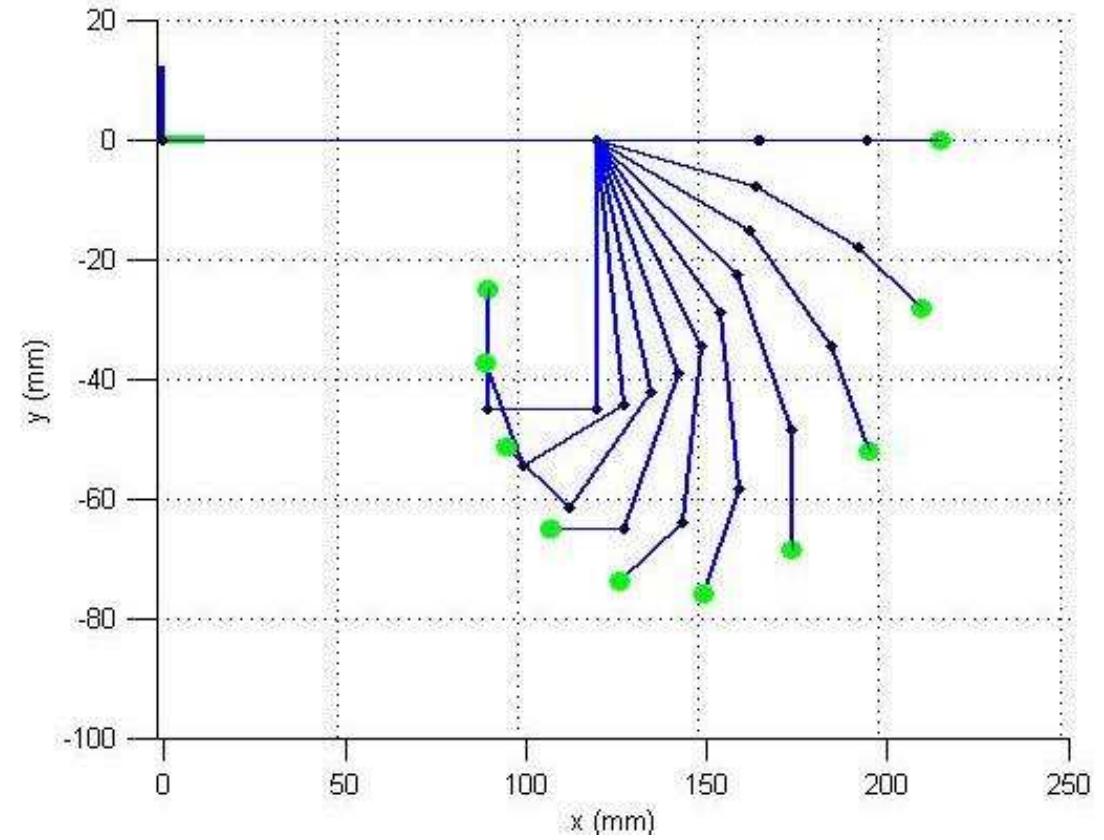 Joint and link diagram of the hand.