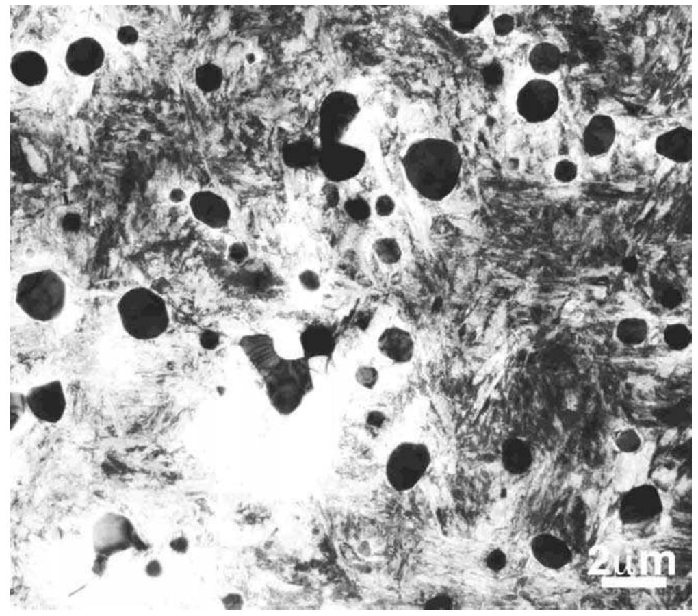 Figure 1 - Microstructure of cryogenic treated M2 tool steel