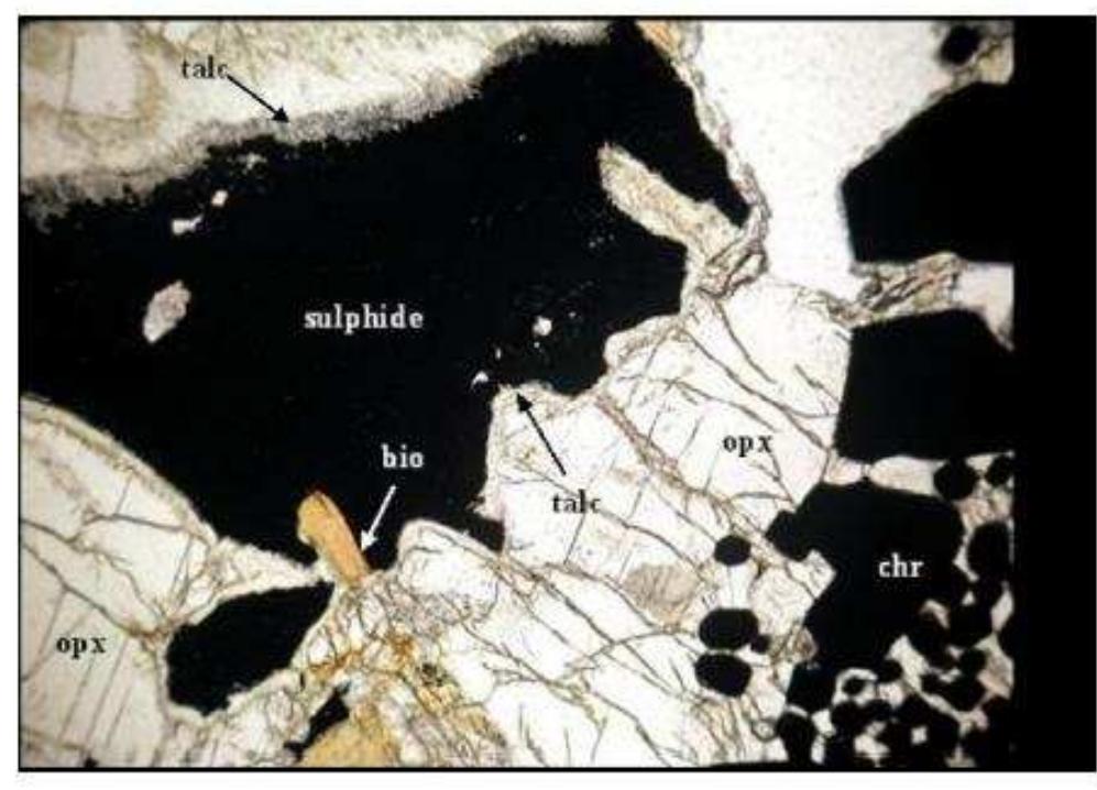 Ore deposits typically contain ore zones of different types