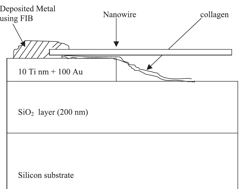 Schematic cross sectional drawing showing one