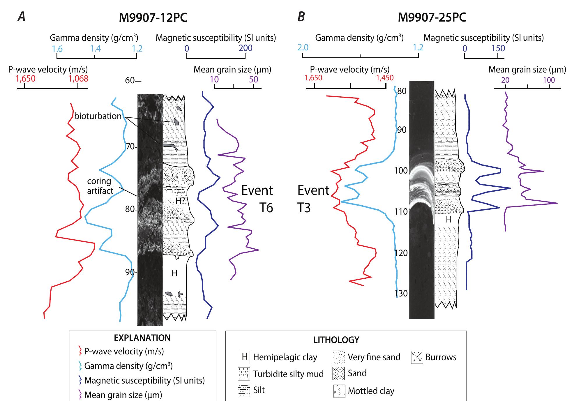 Detailed stratigraphic diagrams showing examples of physical