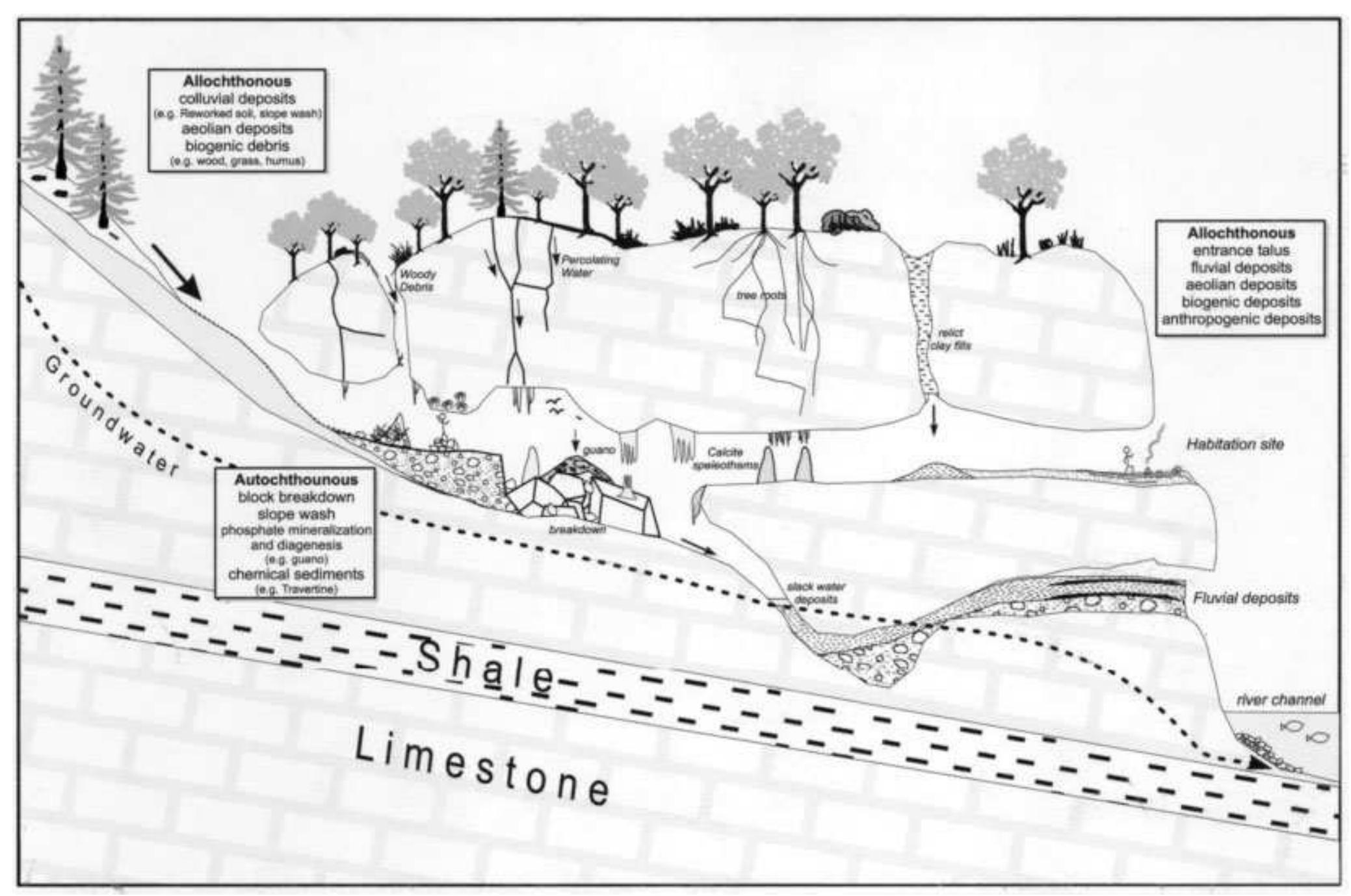 Generalized cross-section of a cave system illustrating
