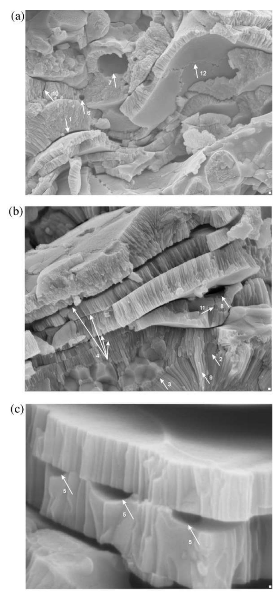 (a) fracture surface taken at 3000 magnification; (b)
