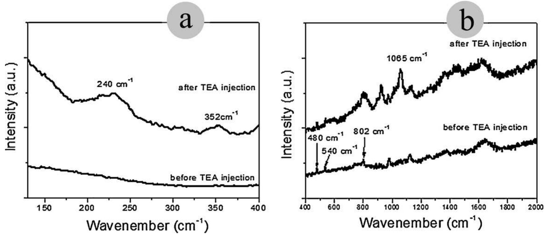 Typical raman spectra of sucralose-capped silver