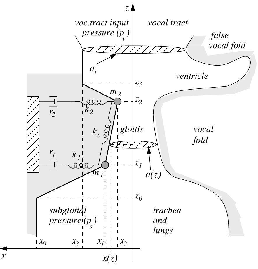 Right: schematic diagram of the vocal fold, trachea, and