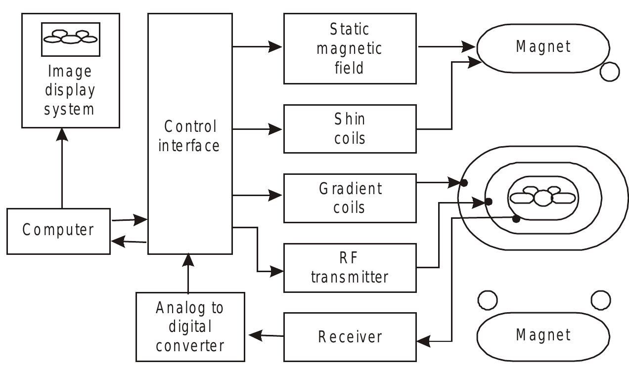 The components of a mri system