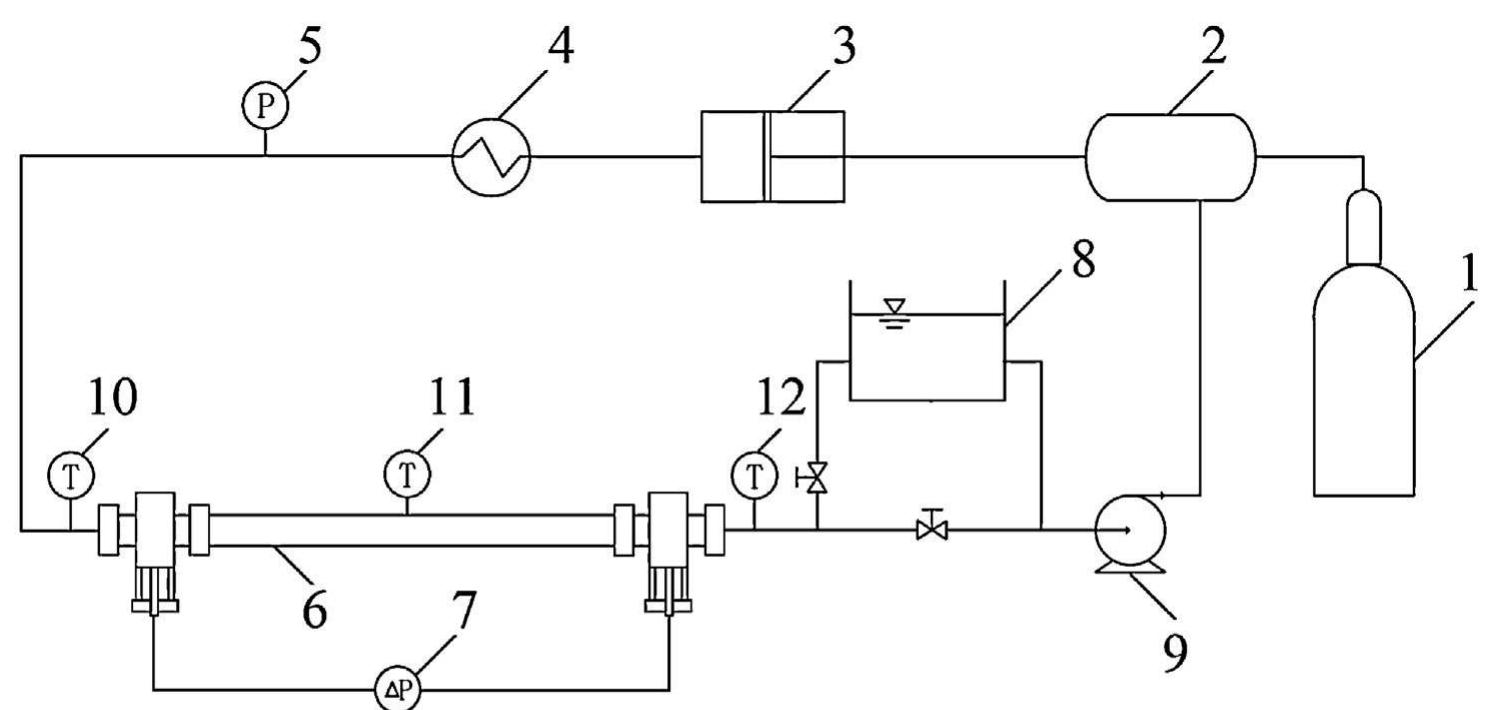1. carbon dioxide gas source; 2. circulation tank; 3. gas