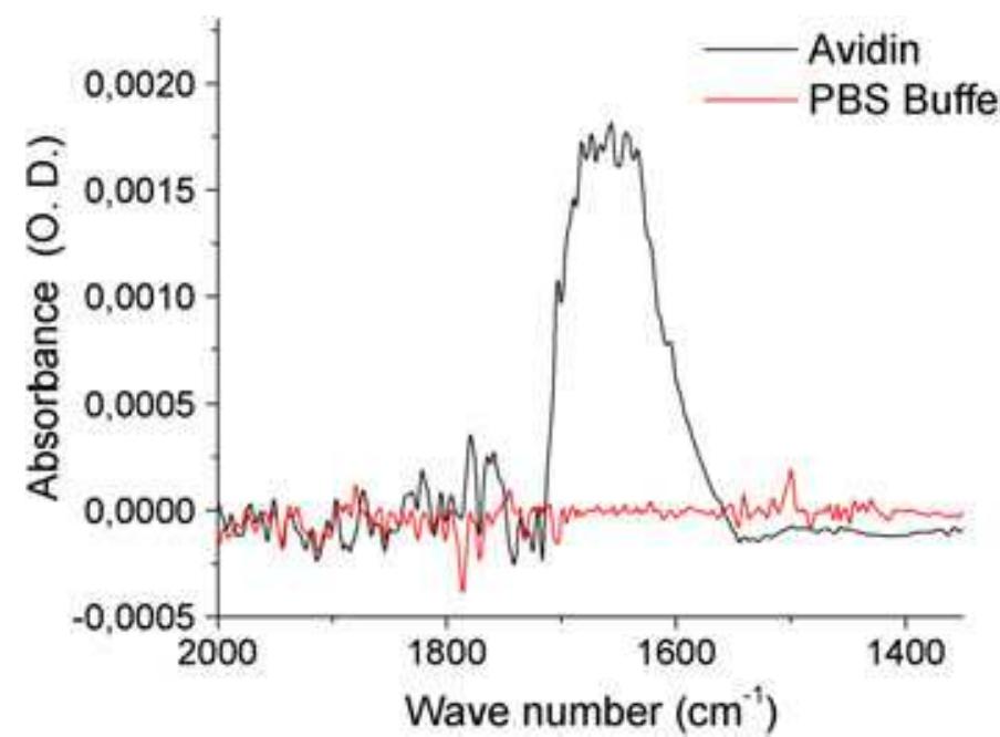 Fourier transform-infrared spectroscopy (ftir) scans of the