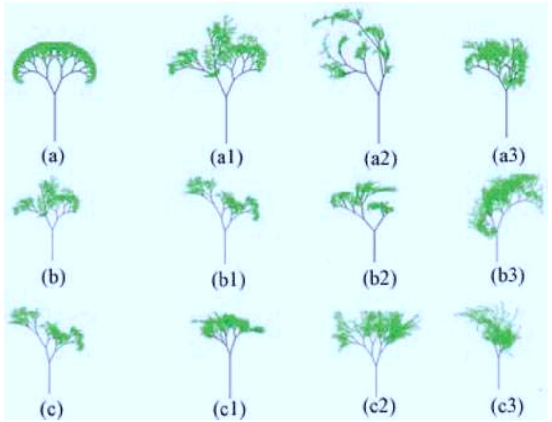 The evolution and genetic mutation of plants by using the