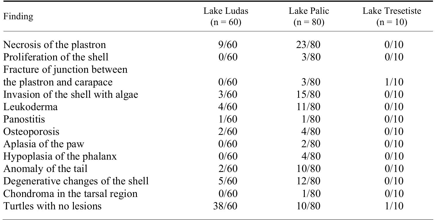 Most common lesions of the shell and skeletal system of