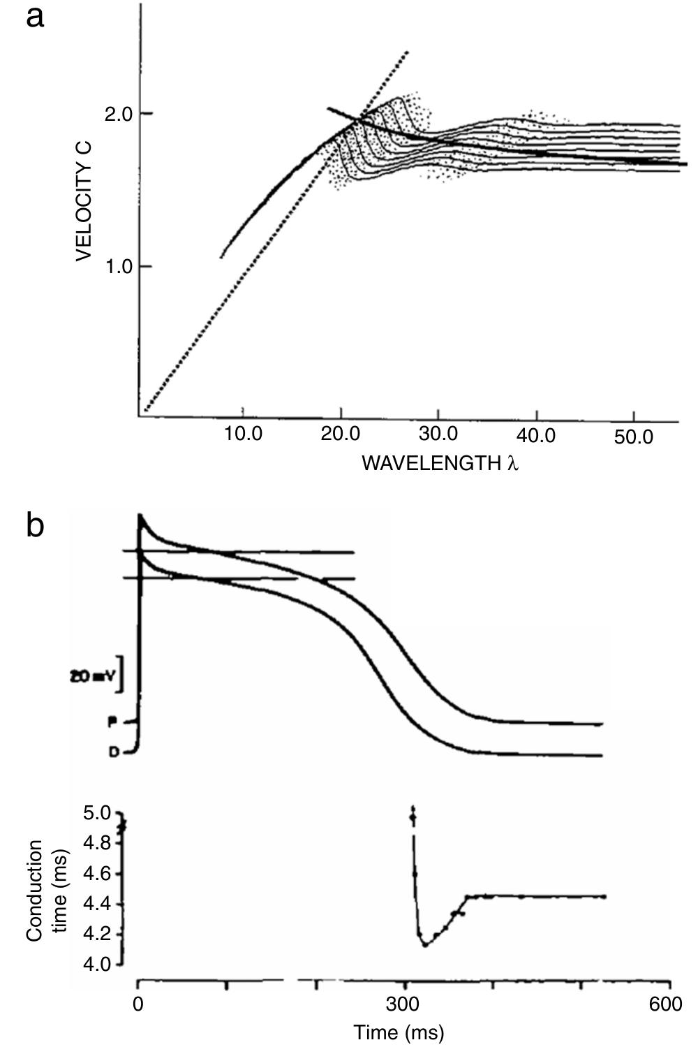 Non-monotonic dispersion relation and supernormal