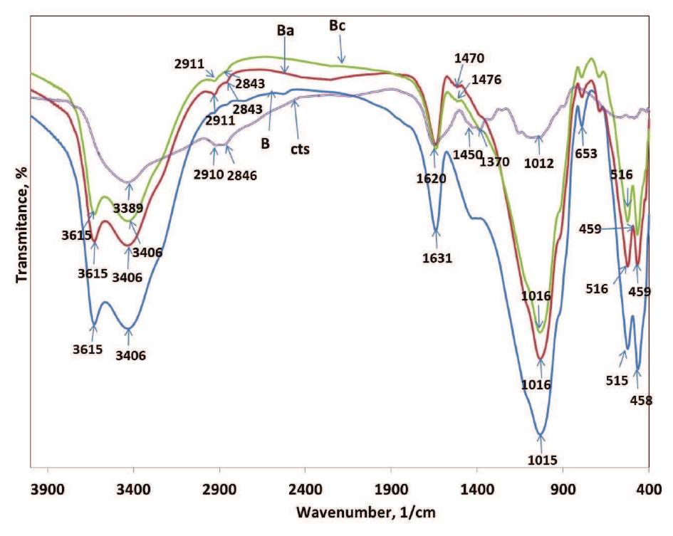 Ftir spectra: bentonite (b); chitosan (cts);