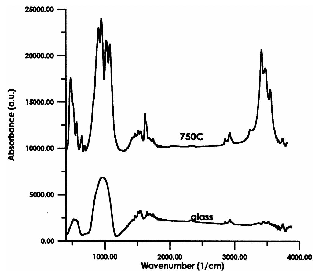 Ir absorption spectra of: (a) glass; (b) heat treated