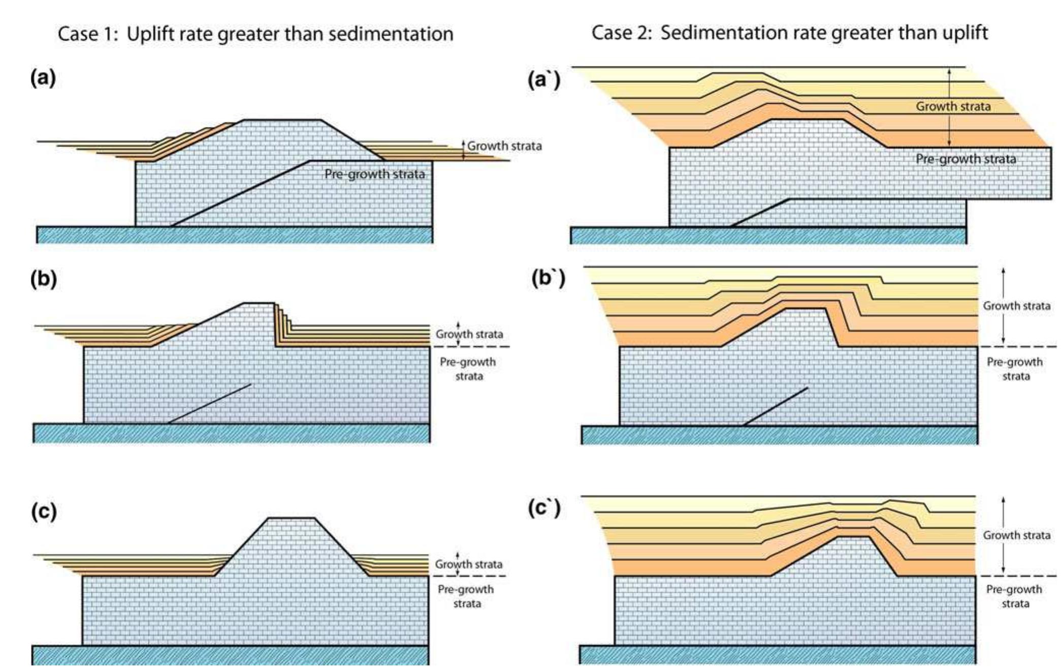 Examples of fold models and their expected growth-strata
