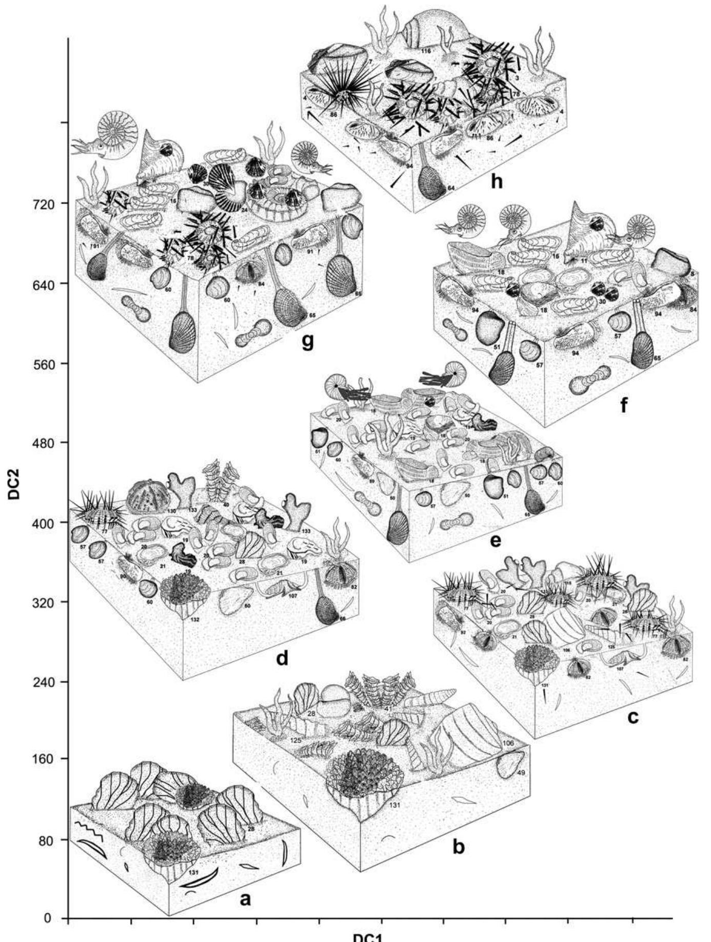 Reconstructions of the marine macrobenthic associations from