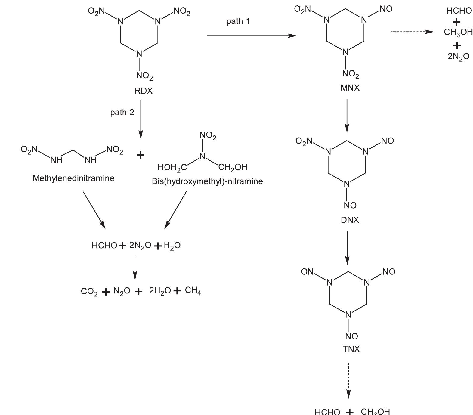 Pathways of microbial degradation for rdx. the scheme is