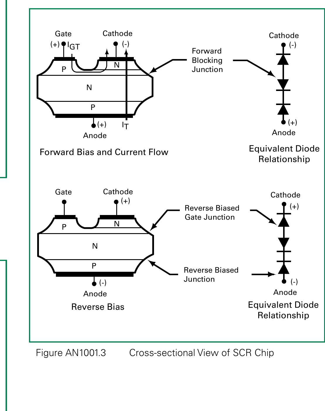 An1001.3 shows cross-sectional views of an scr chip and