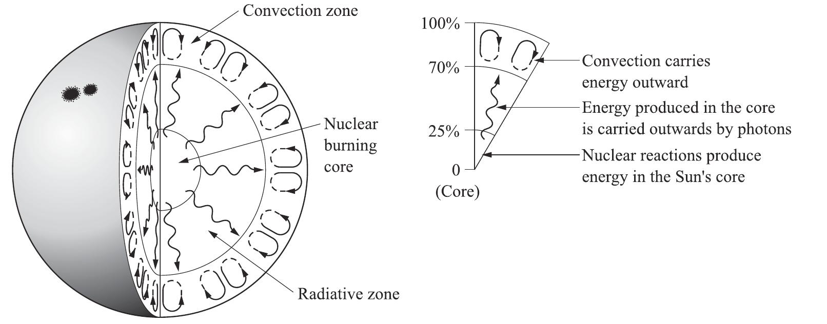 -5. the structure of the sun. the general structure of the