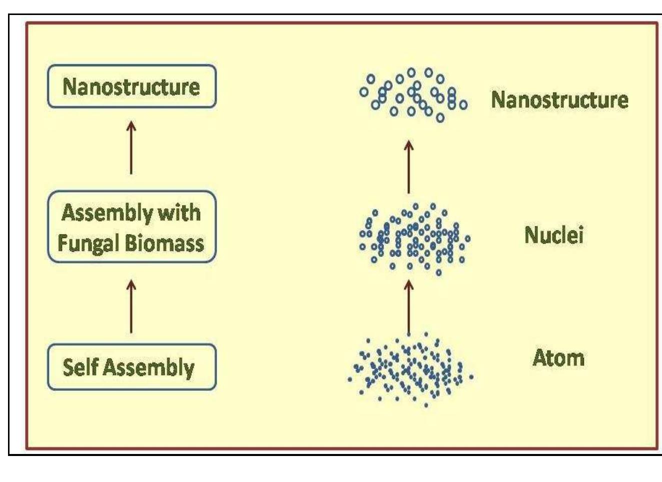Bottom up approach in synthesis of nanoparticles which are