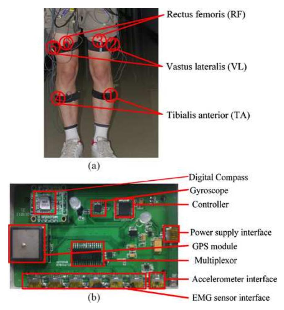 Figure 2 - from A novel pedestrian dead reckoning algorithm