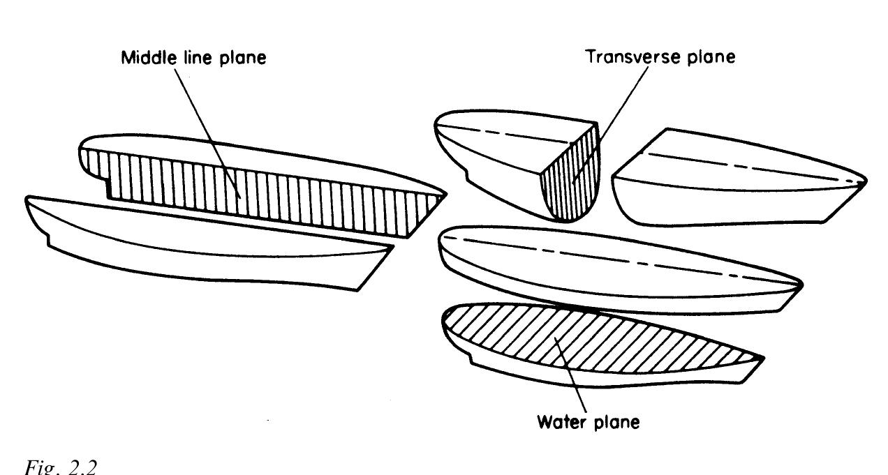 Called transverse planes and a transverse section of the
