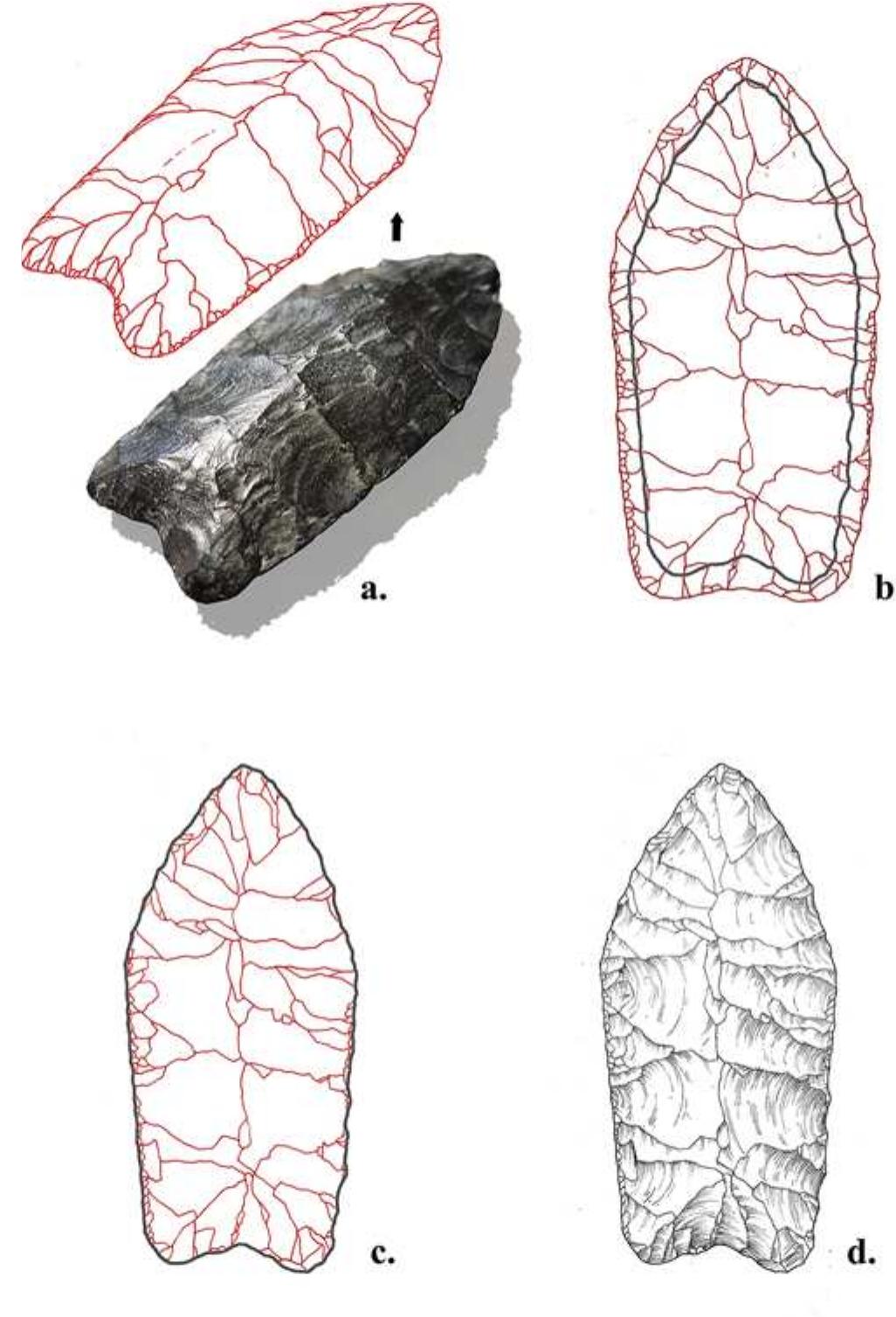 Sequence of illustrations showing the “lifting” of the flake