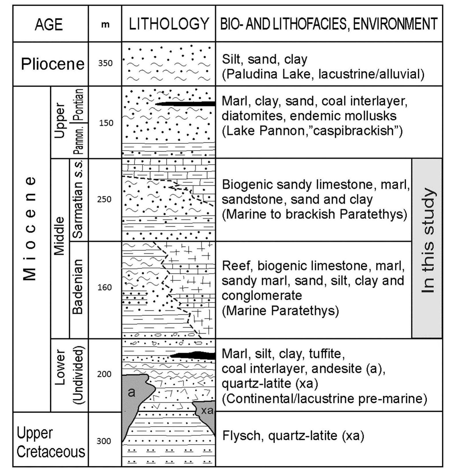 Divided into three foraminiferal biozones: the elphidium