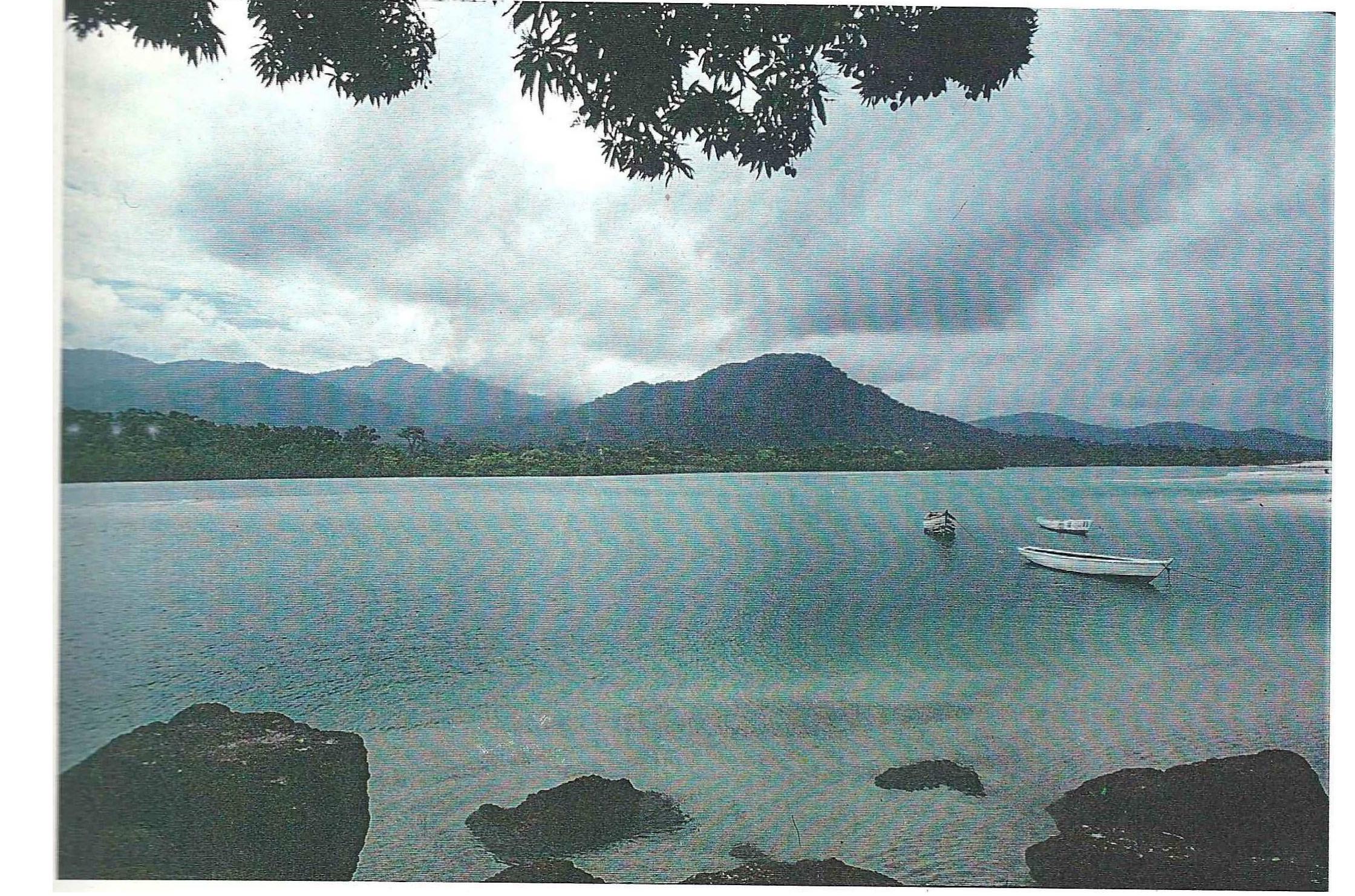 Figure 1 - The No.2 River Forest Reserve, Sierra Leone: