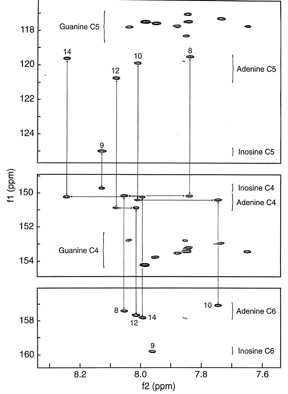 Sections of the hmbc spectrum of a 1.5 mm sample of