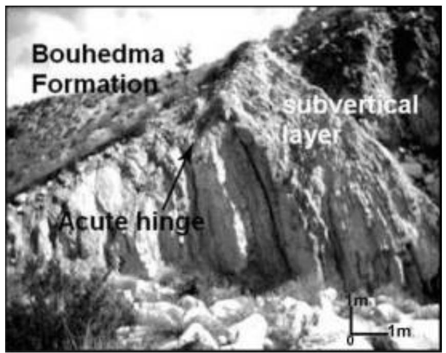 Geometry of fold presented by acute hinge and subvertical