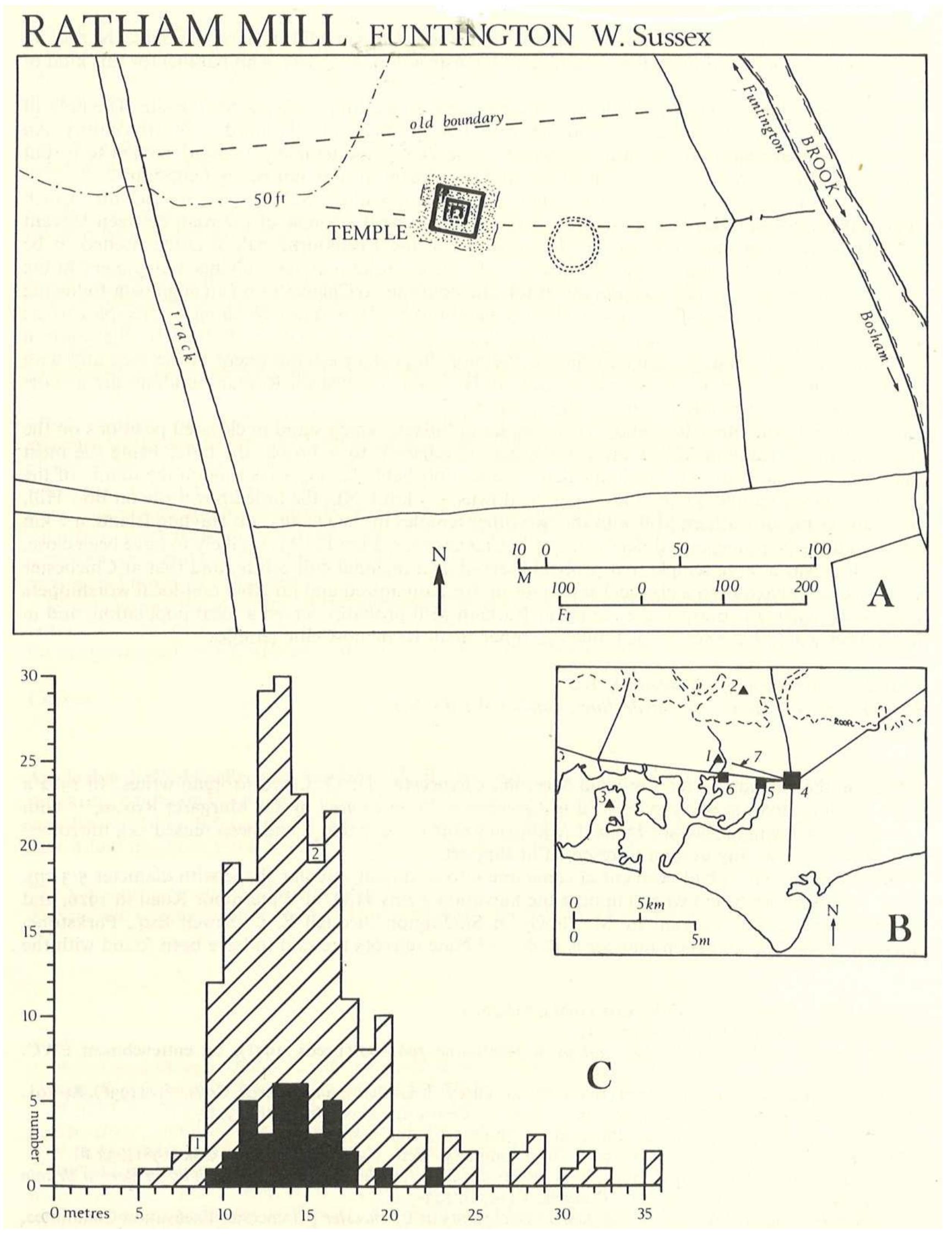 Figure 1 - from A Romano-Celtic Temple at Ratham Mill,