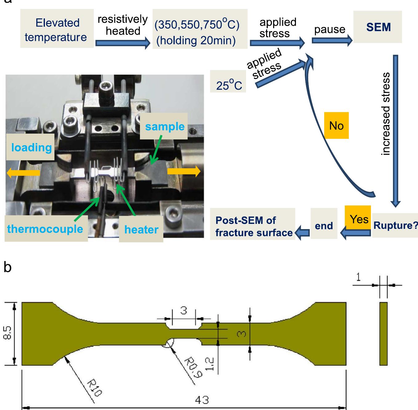 "ig. 2. (a) flow chart of the in situ tensile testing stage,