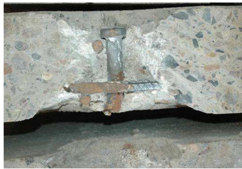 Brian Uy - The University of New South Wales