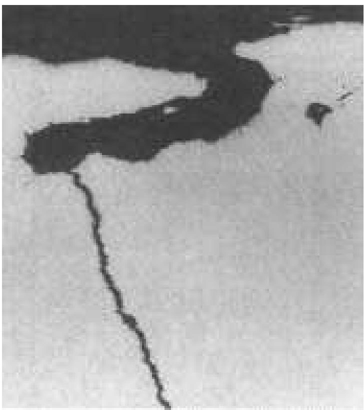 > micrograph of aisi 4142 steel as quenched and tempered.