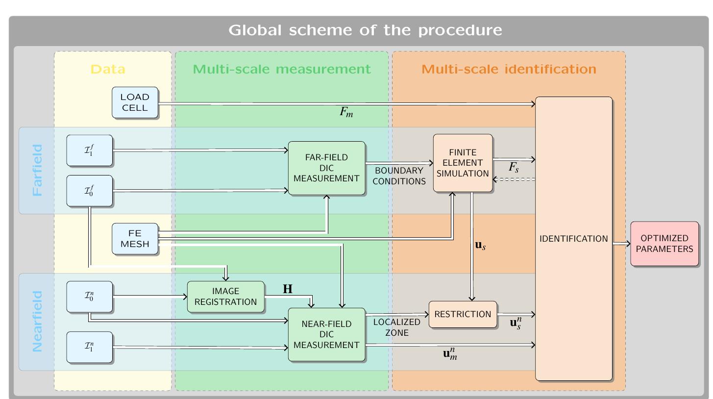 Multiscale displacement field measurement using digital