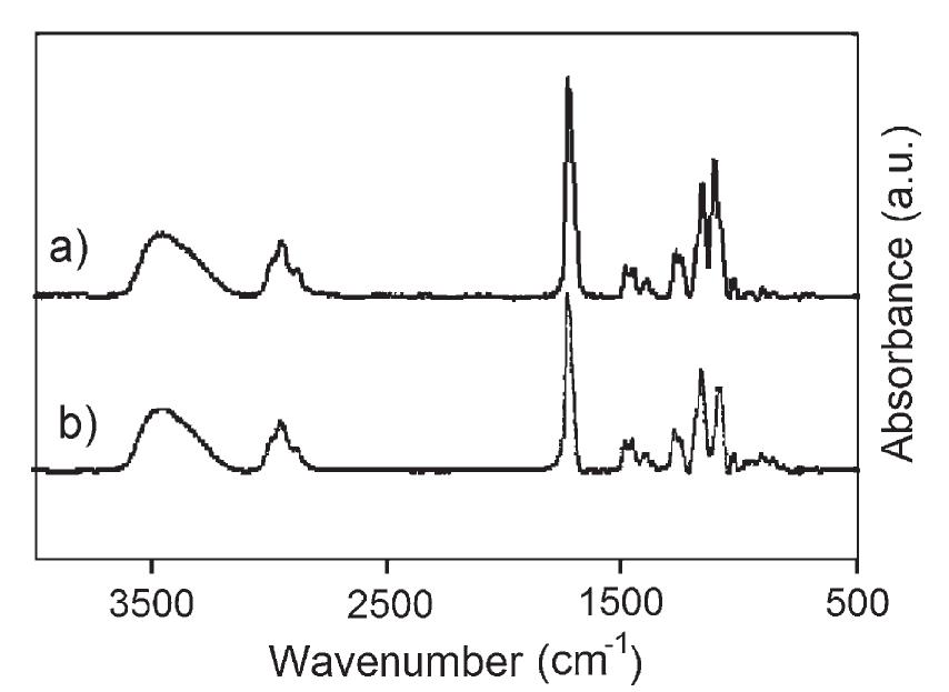 Ftir spectra of phema. a) solvent-cast phema standard (m,