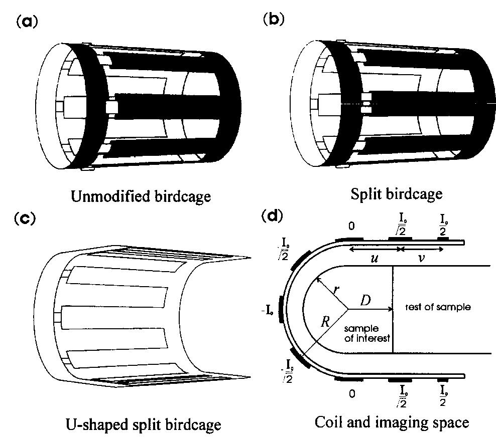 (a) schematic diagram of an unmodified low-pass birdcage,