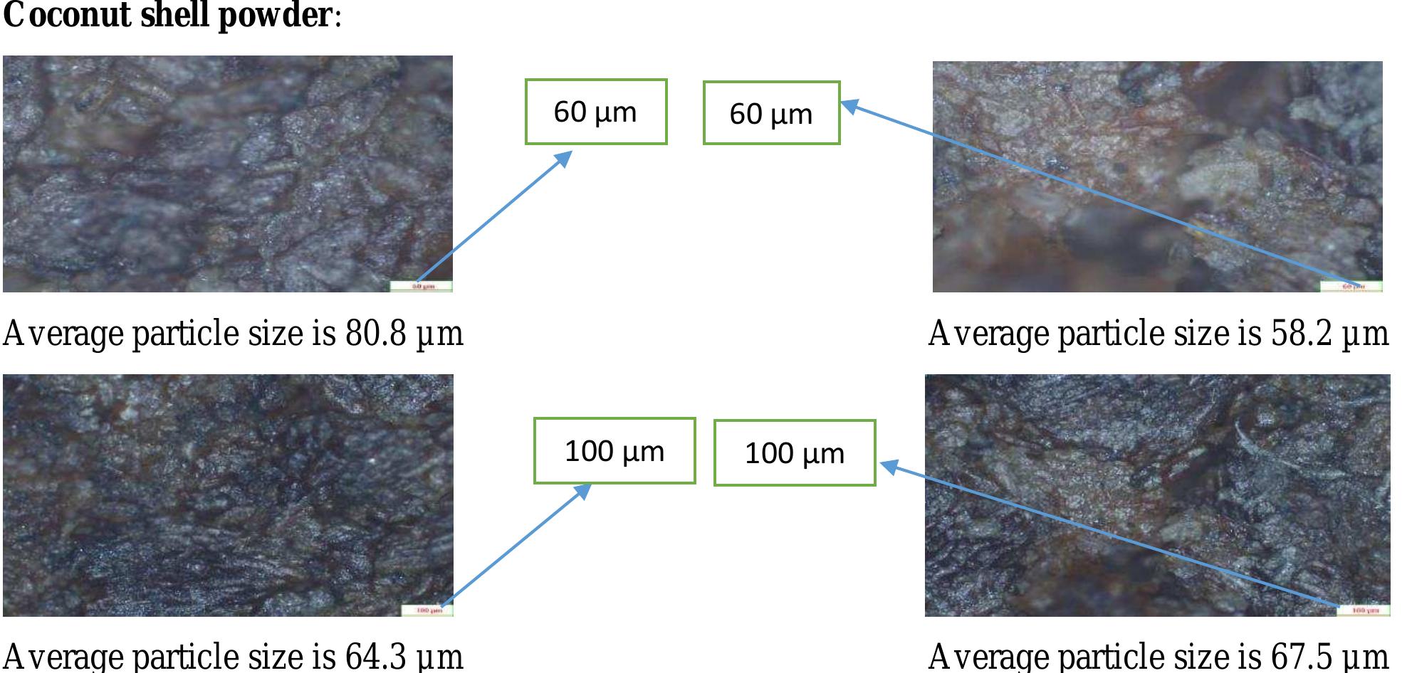 Optical microscopy images of coconut shell powder