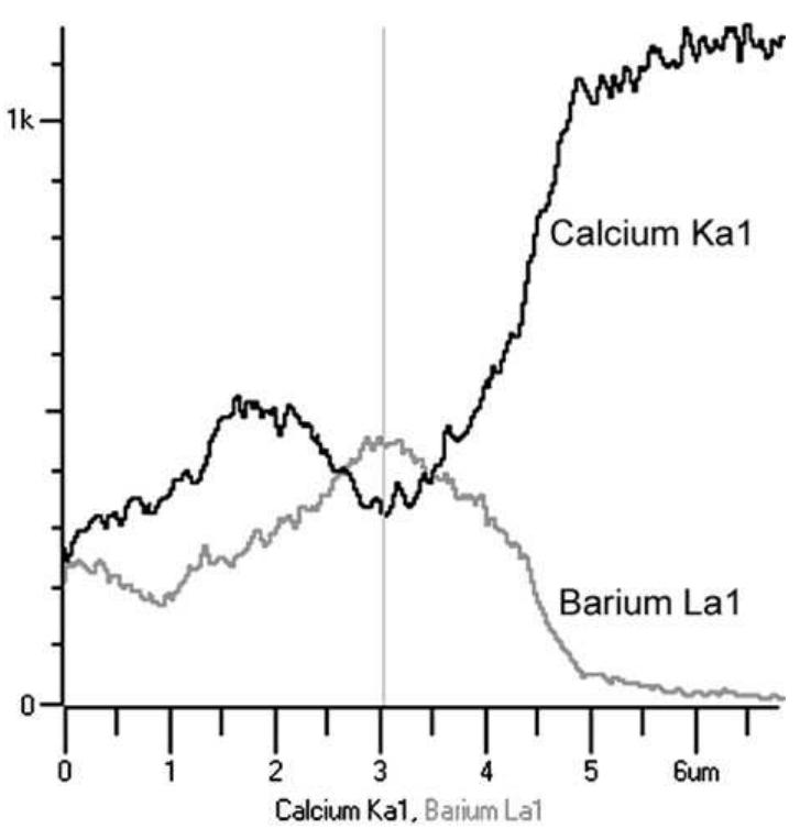 Line-scan at the interface zone between calcitic grains and