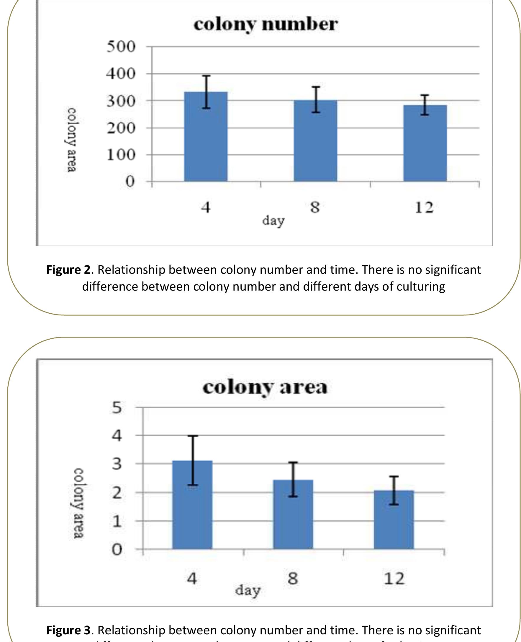 Figure 3 - Isolation of Native Goat Spermatogonial Cells and