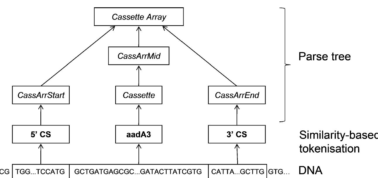 4 a grammar for genetic structure annotation. the input dna