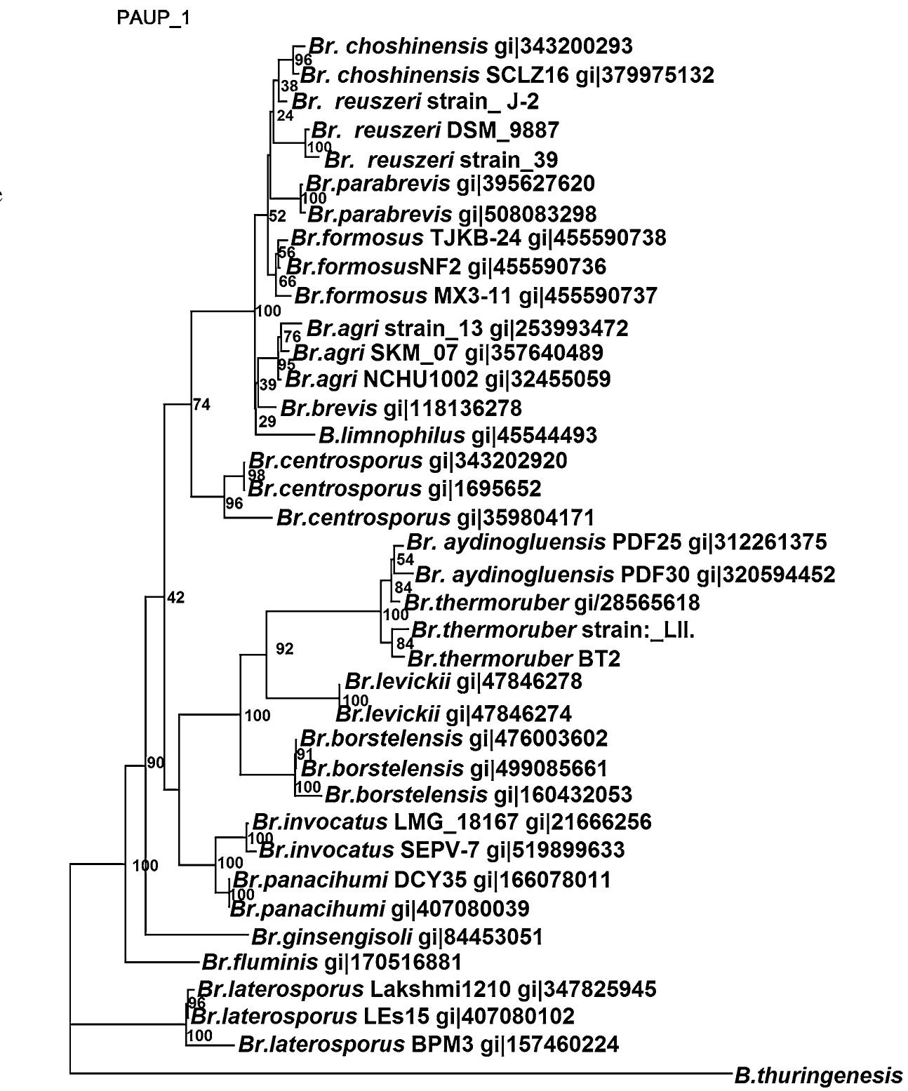 Figure 1 - from Brevibacillus as a biological tool: a short